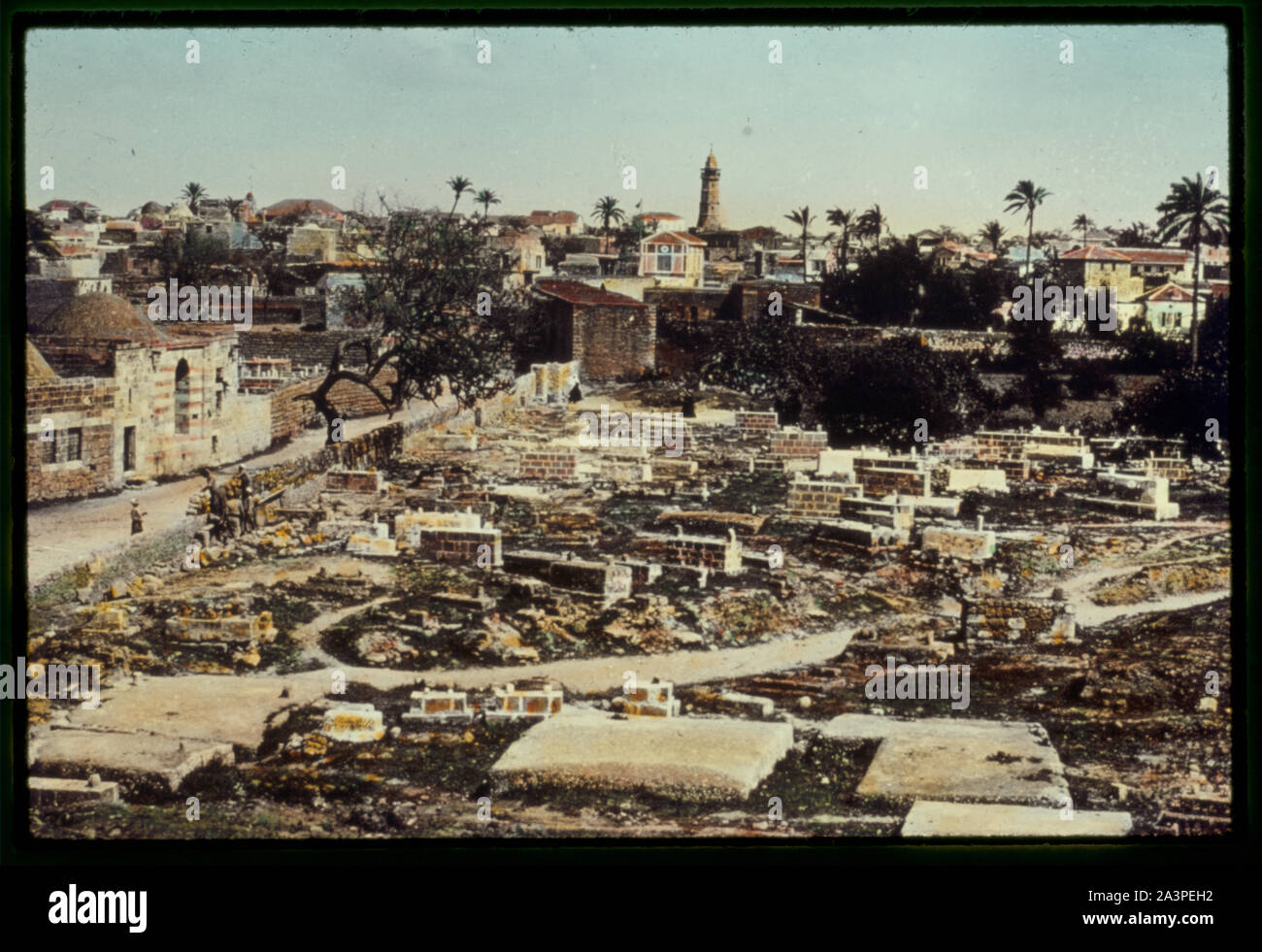 Southern Palestine, Hebron, Beersheba and Gaza area. Gaza. Judges 16:1 ...