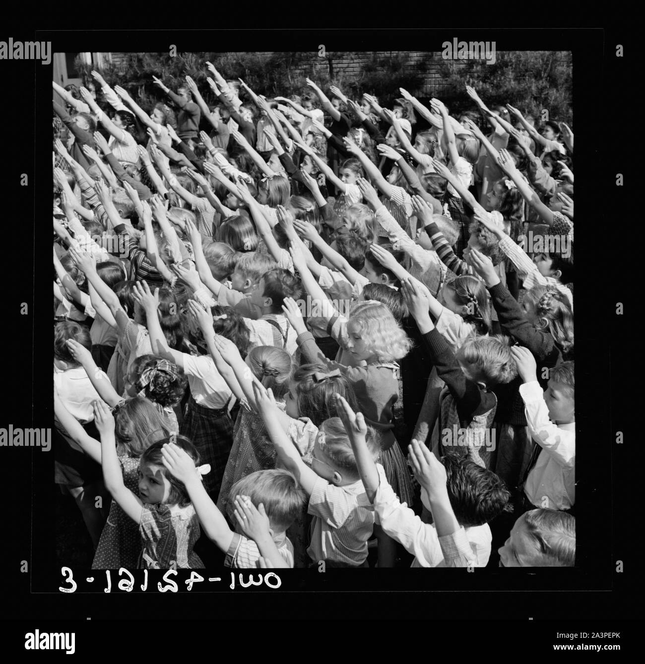 Pledge Of Allegiance Salute