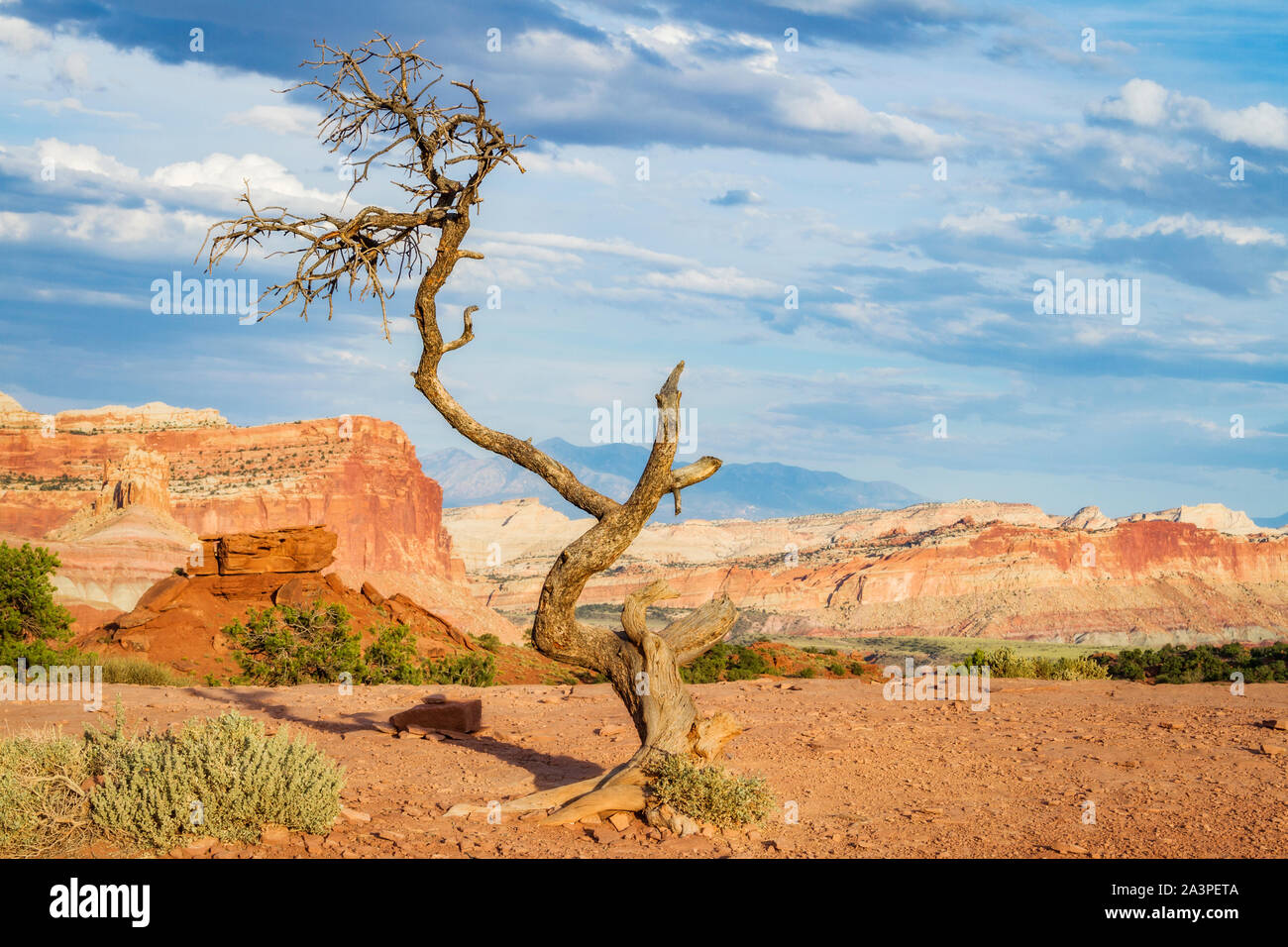 Reef glow hi-res stock photography and images - Alamy
