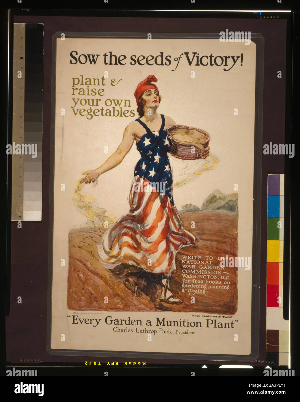 Sow the seeds of victory! Plant & raise your own vegetables / James ...