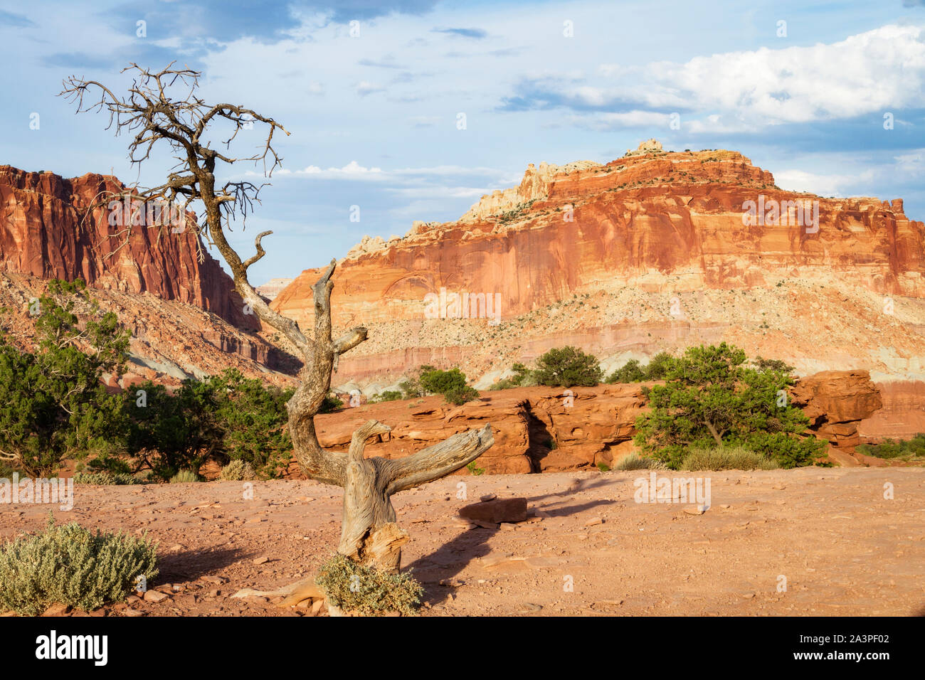 Reef glow hi-res stock photography and images - Alamy