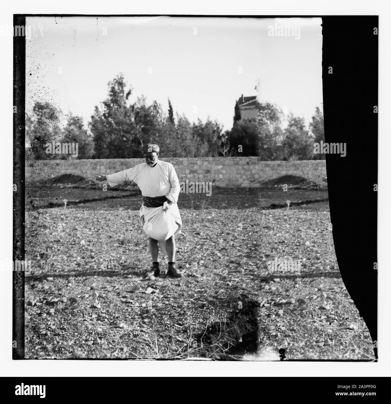 Sow[.] the sower Stock Photo - Alamy
