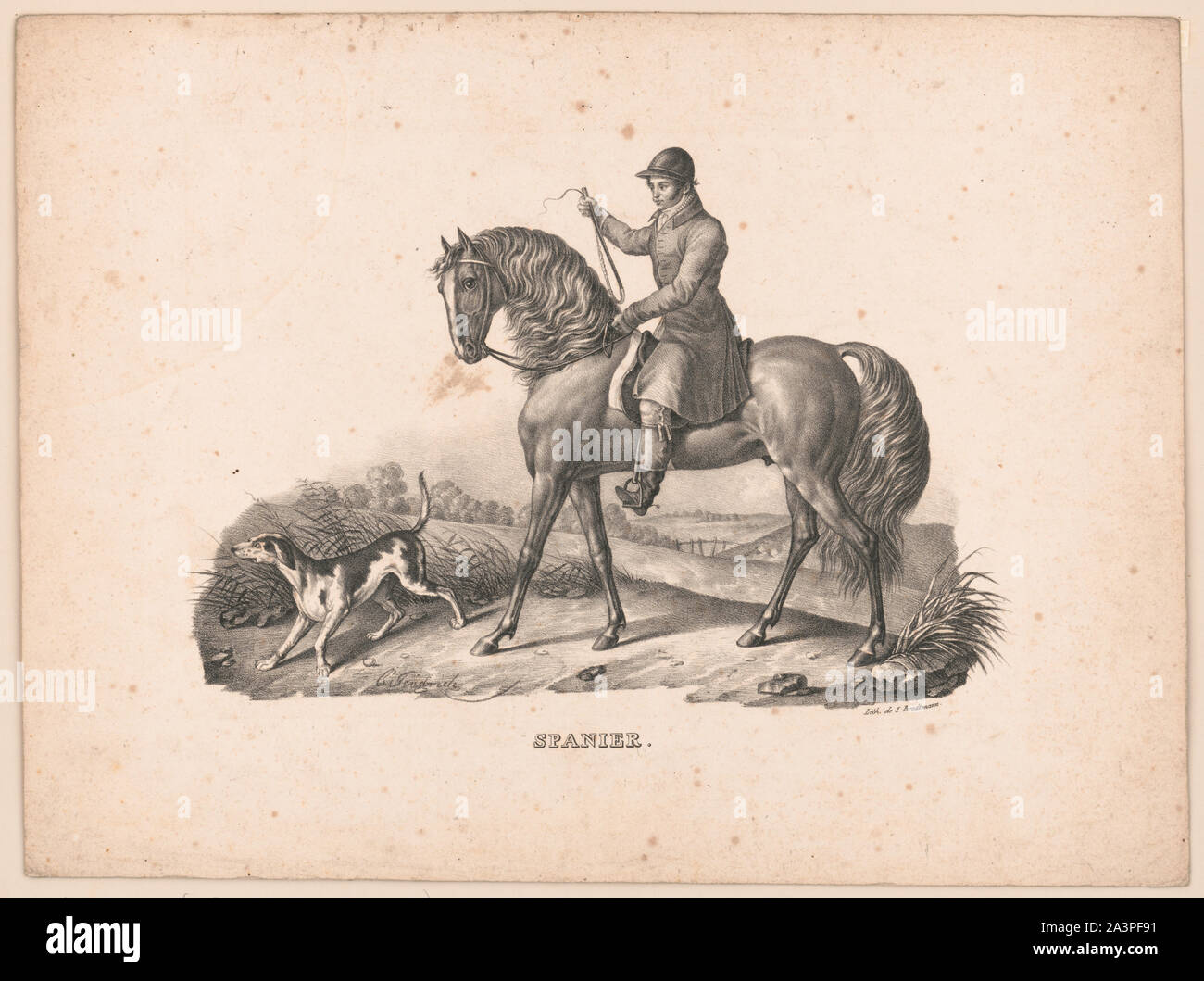 Spanier hi-res stock photography and images - Alamy