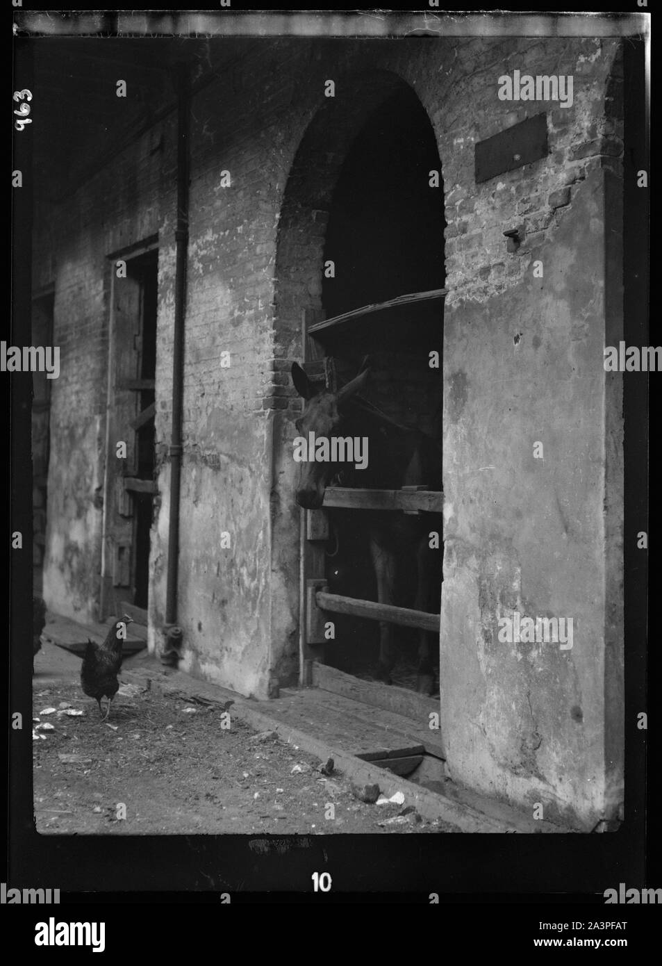 Spanish Stables, New Orleans Stock Photo - Alamy