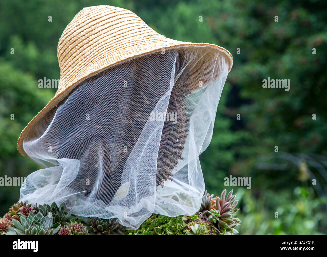 Mystery woman hi-res stock photography and images - Alamy