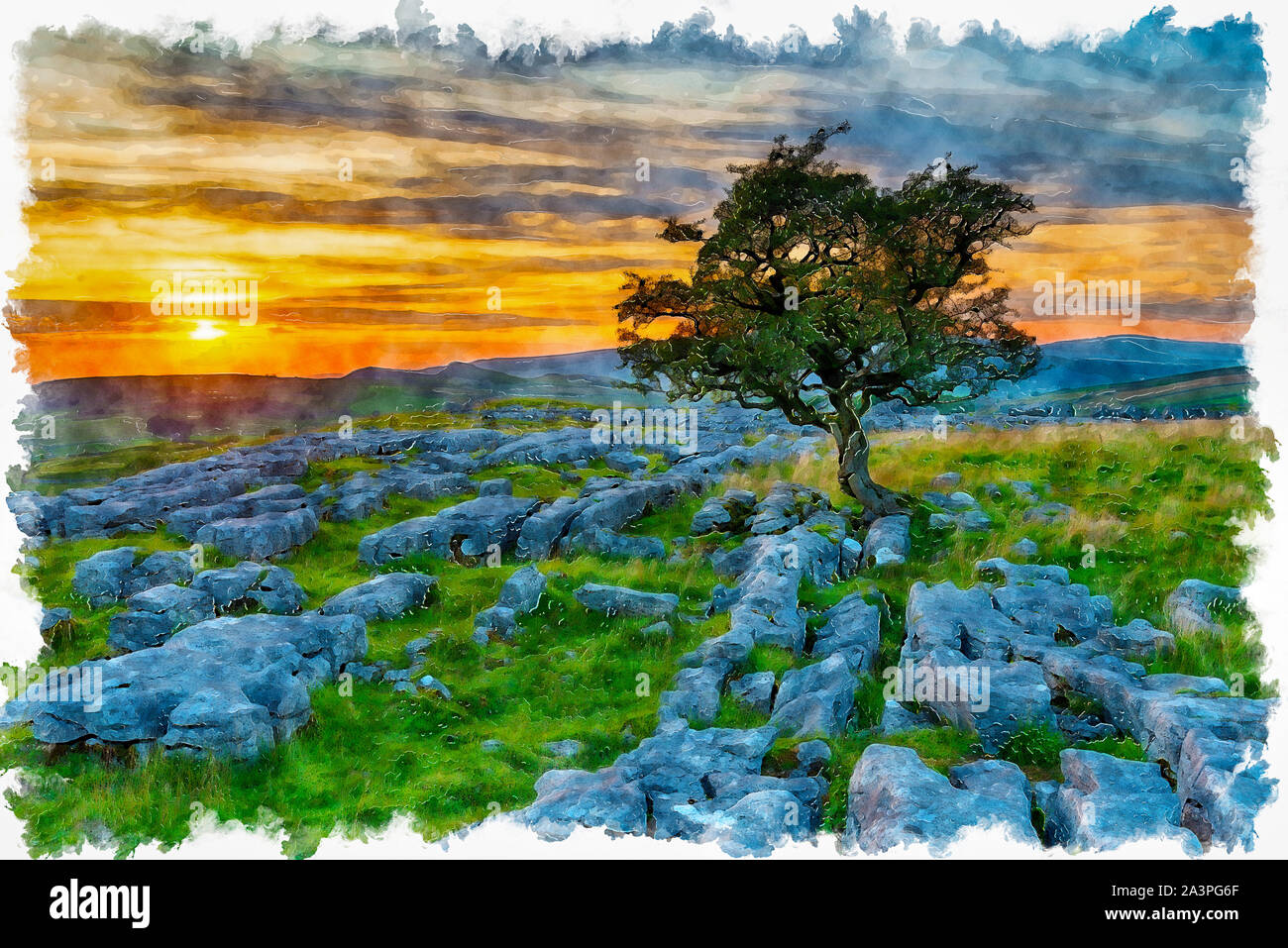 Hawthorn tree drawing hi-res stock photography and images - Alamy