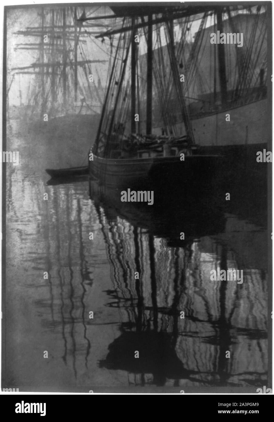 Web building spider Black and White Stock Photos & Images - Alamy