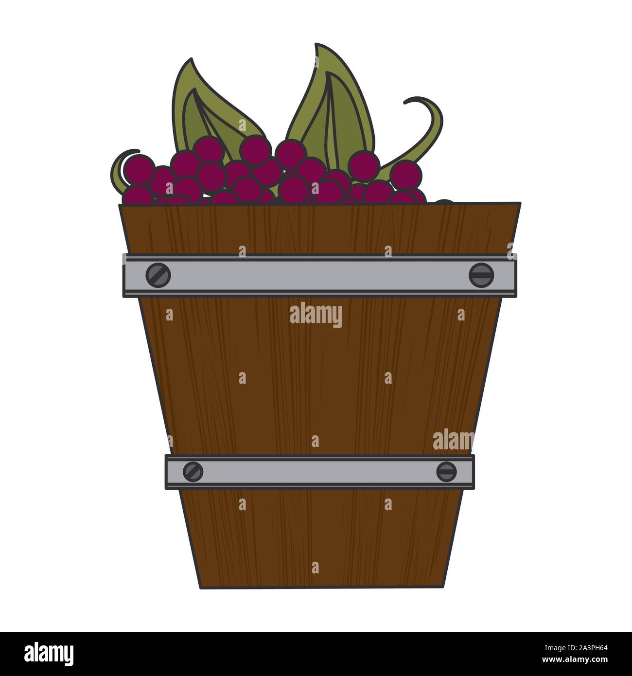 bunch of grapes design Stock Vector Image & Art - Alamy