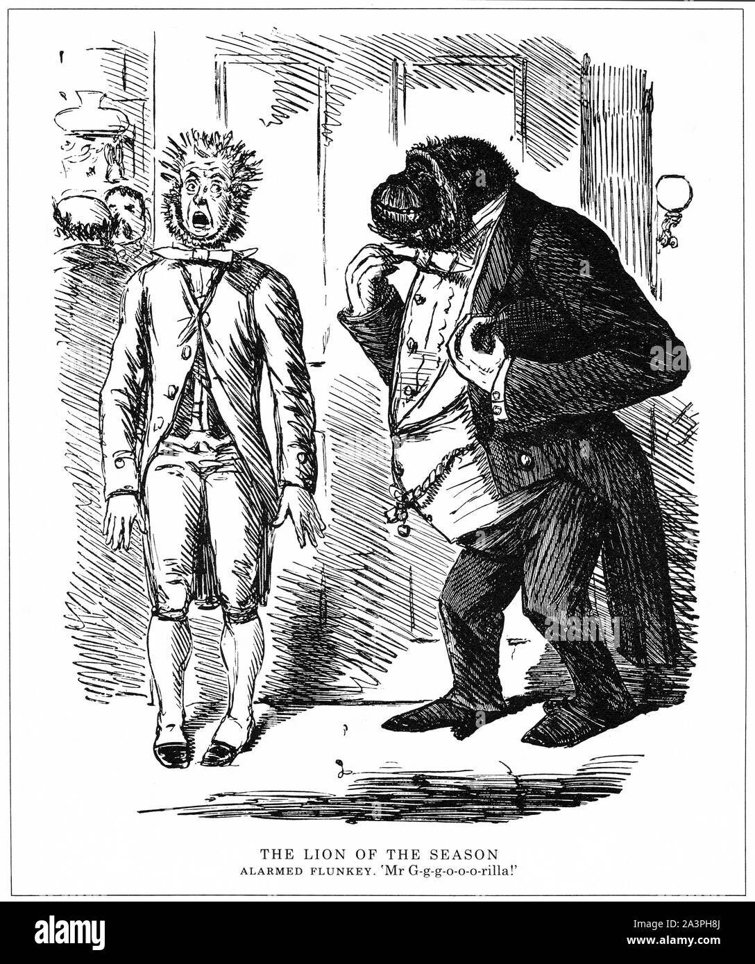 Theory Of Evolution Chart