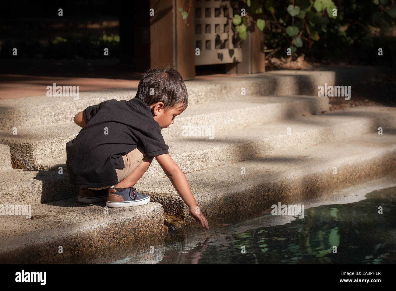 Children playing in pond hi-res stock photography and images - Alamy