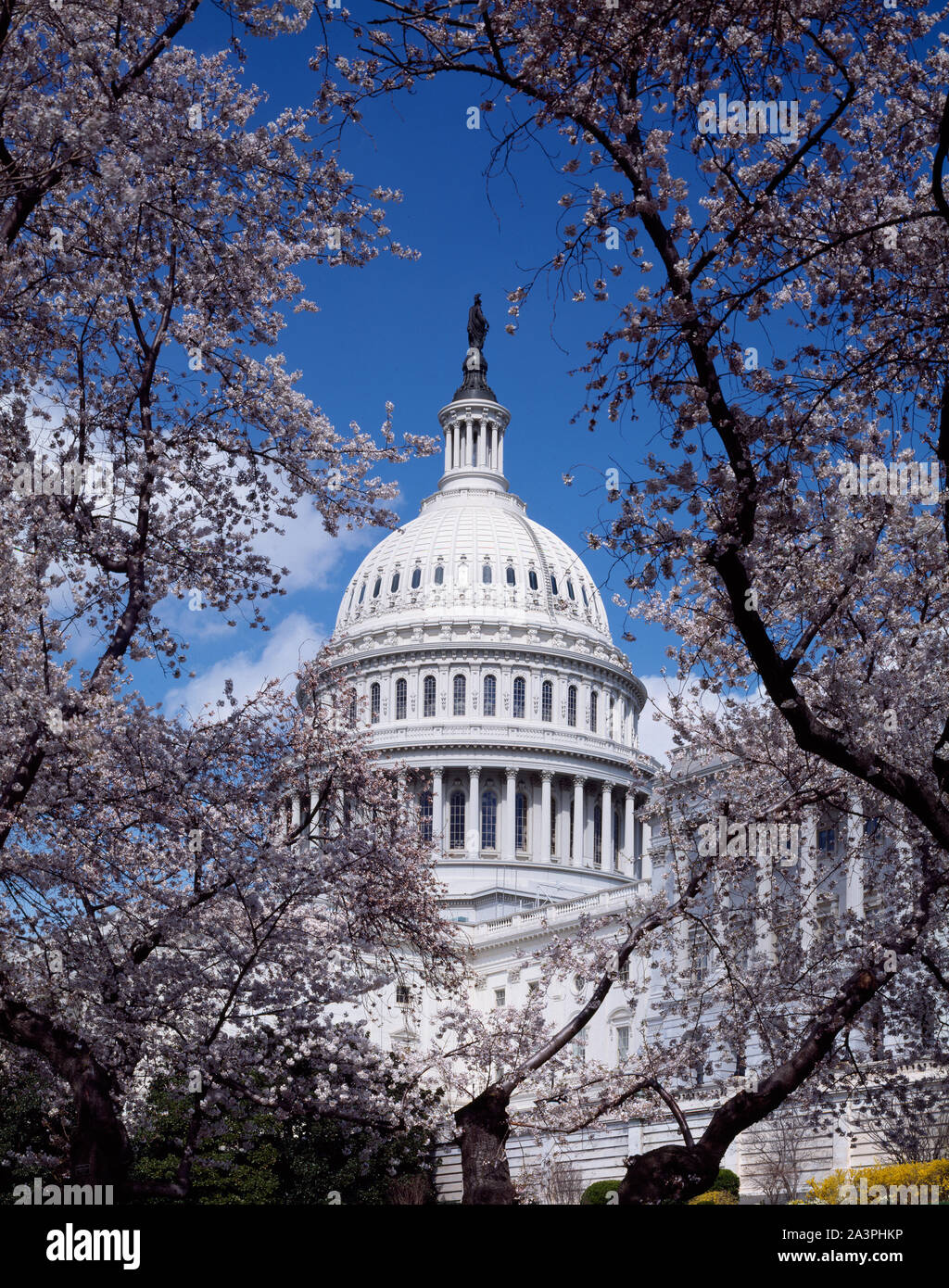 U s washington hi-res stock photography and images - Alamy