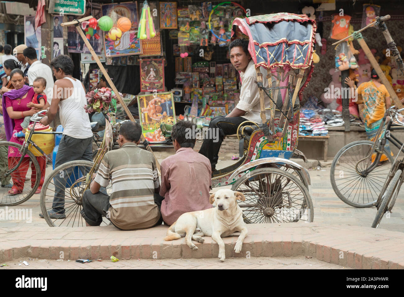 Rickshaw Driver & Dog resting, Kathmandu, Nepal, on street Stock Photo ...