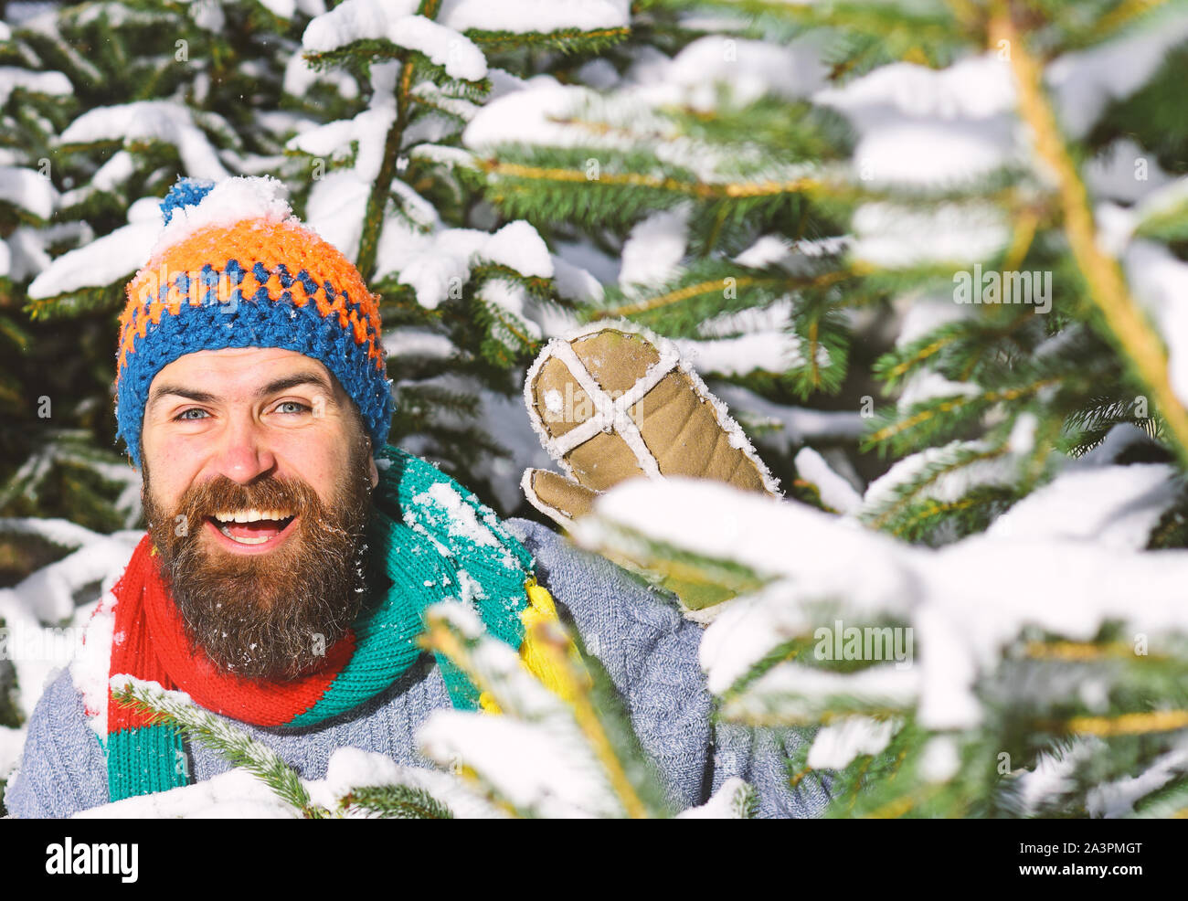 Male face with needles hi-res stock photography and images - Alamy