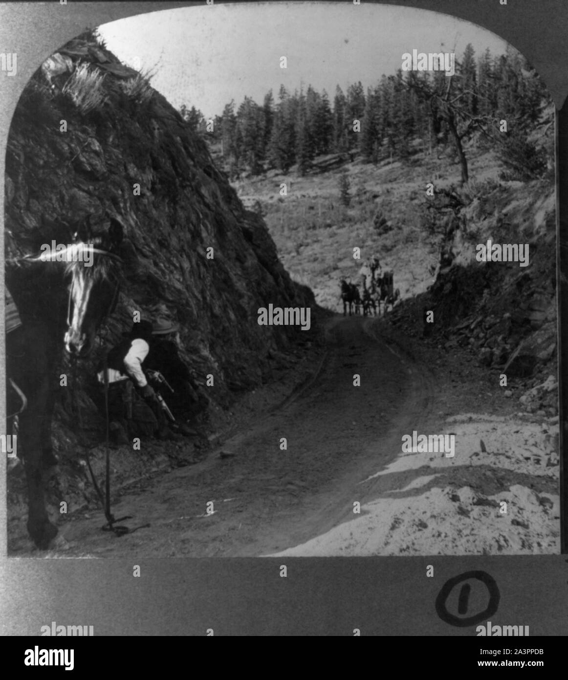 Lurking peril hi-res stock photography and images - Alamy