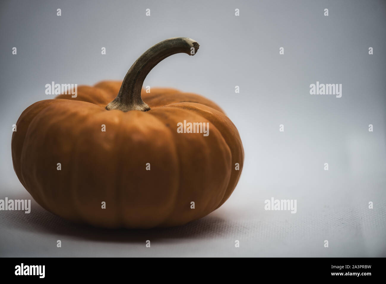 Single mini pumpkin with white background Stock Photo - Alamy