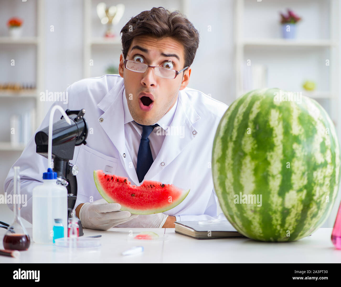 The scientist testing watermelon in lab Stock Photo - Alamy