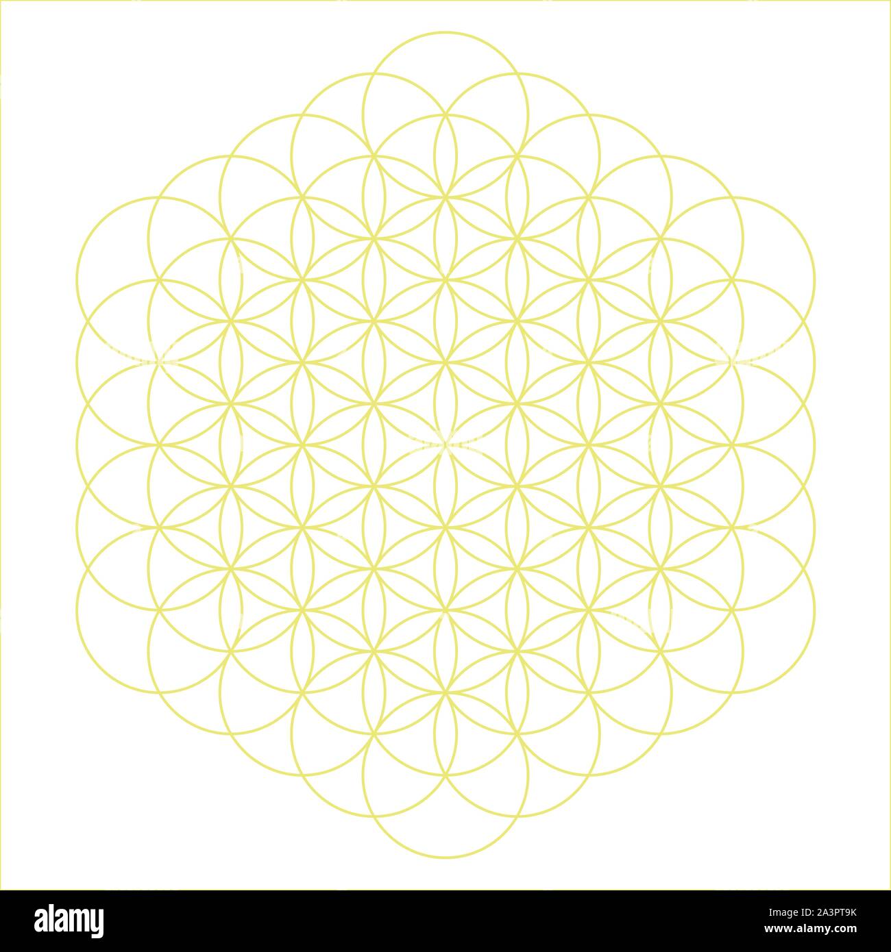 Flower of life 61 circles - yellow solar plexus Stock Vector Image ...