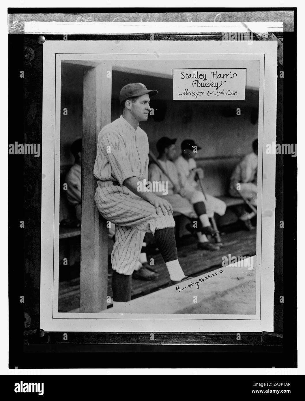 Stanley Harris layout Stock Photo - Alamy