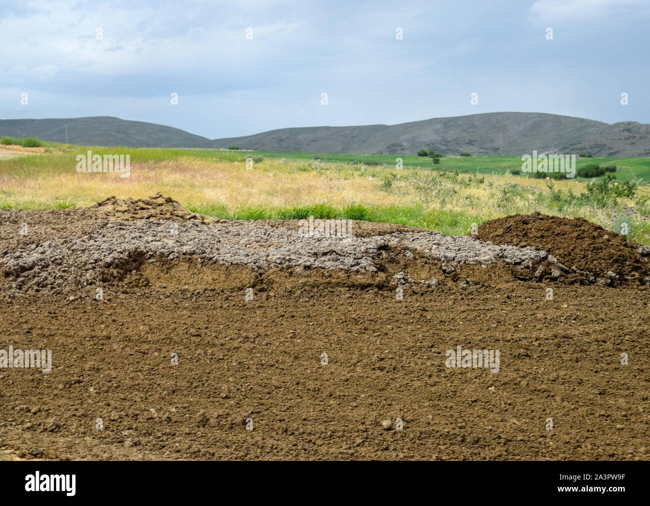 Piles of manure in the field. Cow and horse manure with land Stock ...
