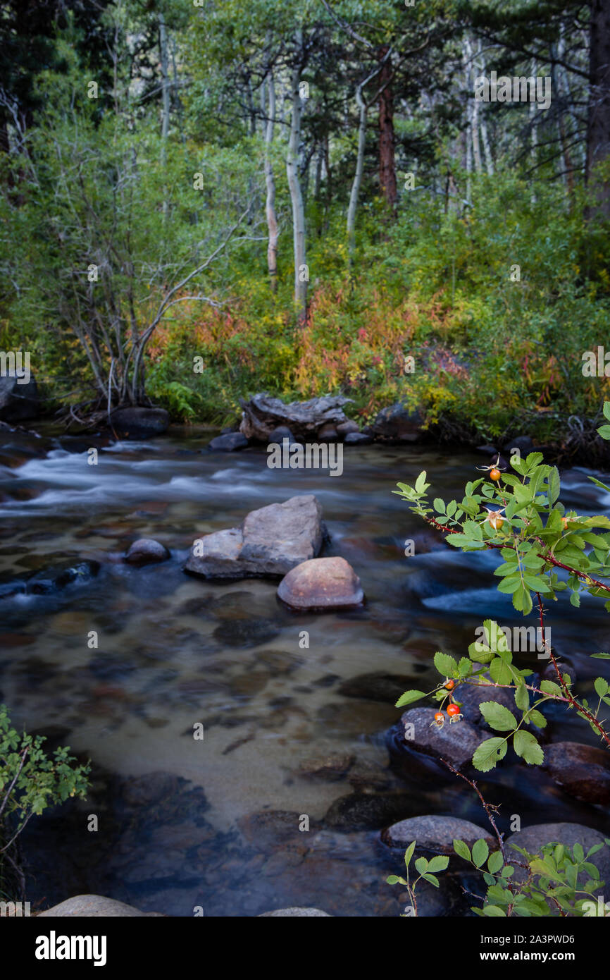 Fall colors along a riverbank with flowing water over a rocky riverbed ...