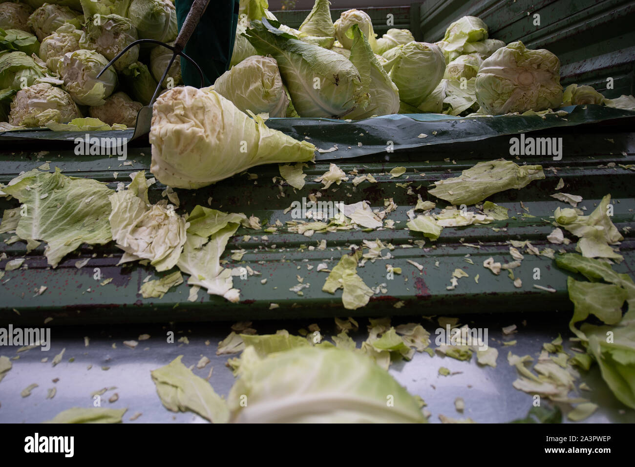 Filderstadt, Germany. 09th Oct, 2019. A worker carries a pointed ...