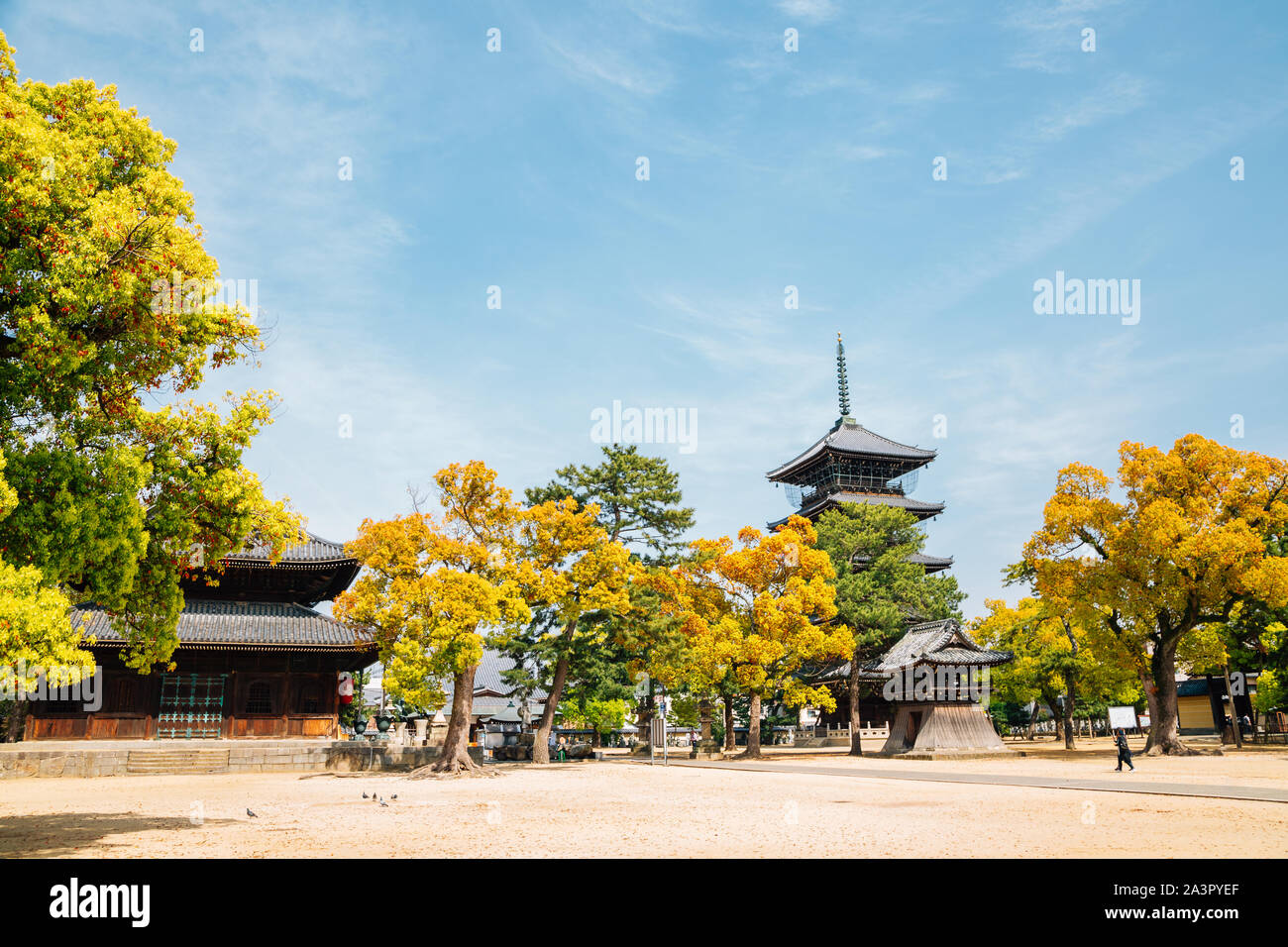 Zentsuji temple hi-res stock photography and images - Alamy
