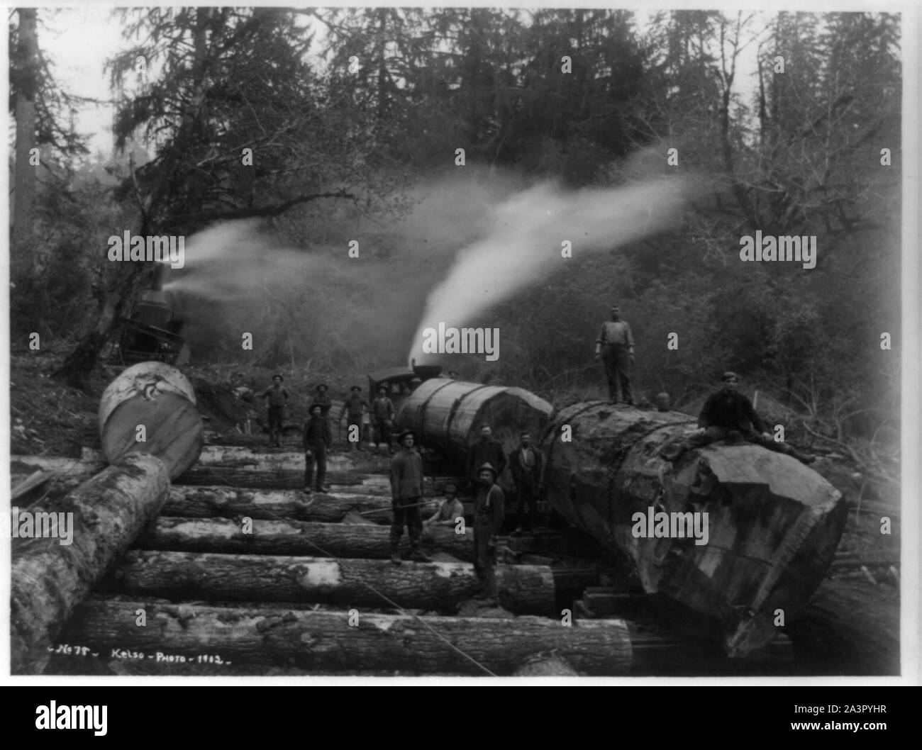 Logging photo Black and White Stock Photos & Images - Alamy