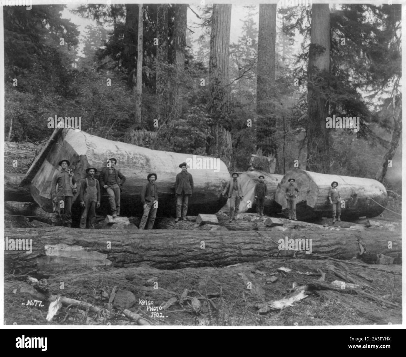 20th century logging hi-res stock photography and images - Alamy
