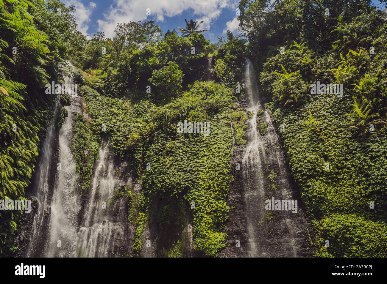 bali, fiji waterfall from the sekumbul waterfalls, indonesia, asia ...