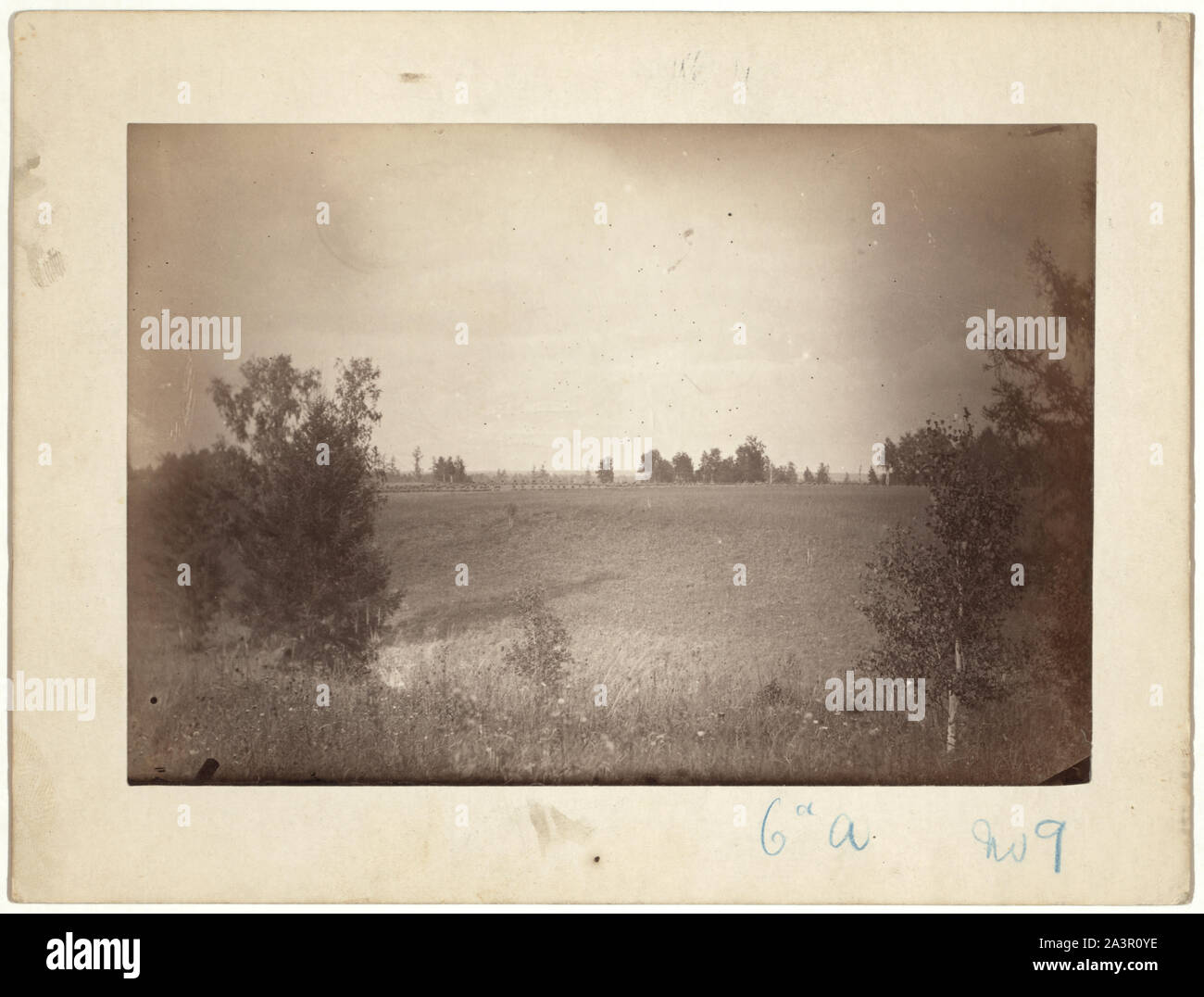 Steppe country between Barnaoul [i.e., Barnaul] and Tomsk. Grain fields ...