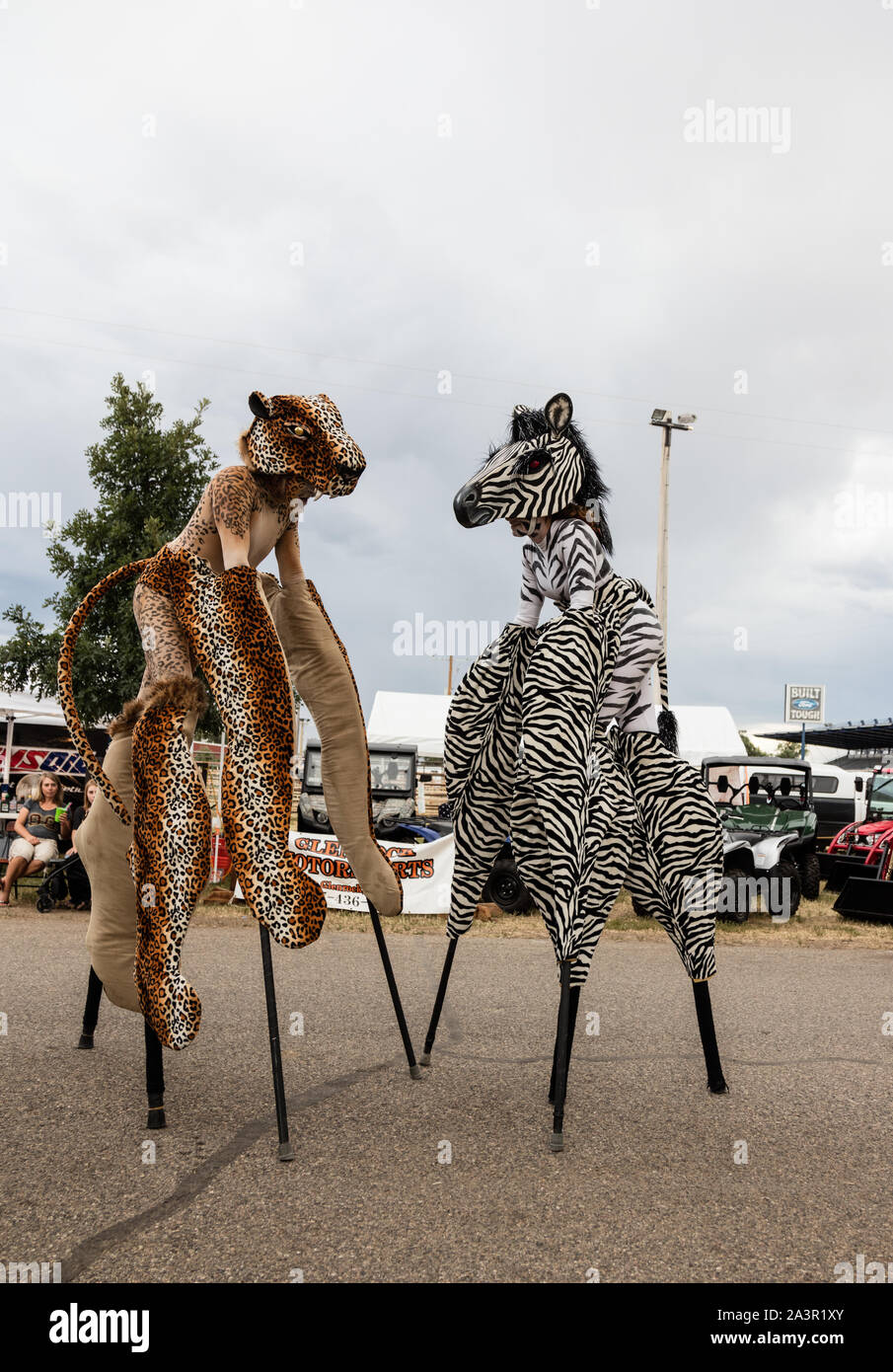 Wyoming state fair hi-res stock photography and images - Alamy