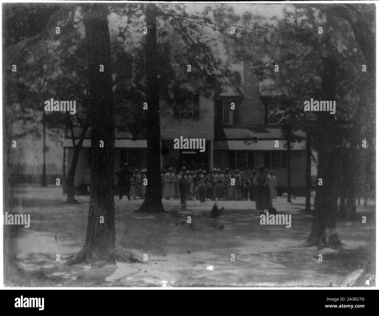 Stirrup Branch Plantation, Bishopville, S.C., on the 75th birthday of ...
