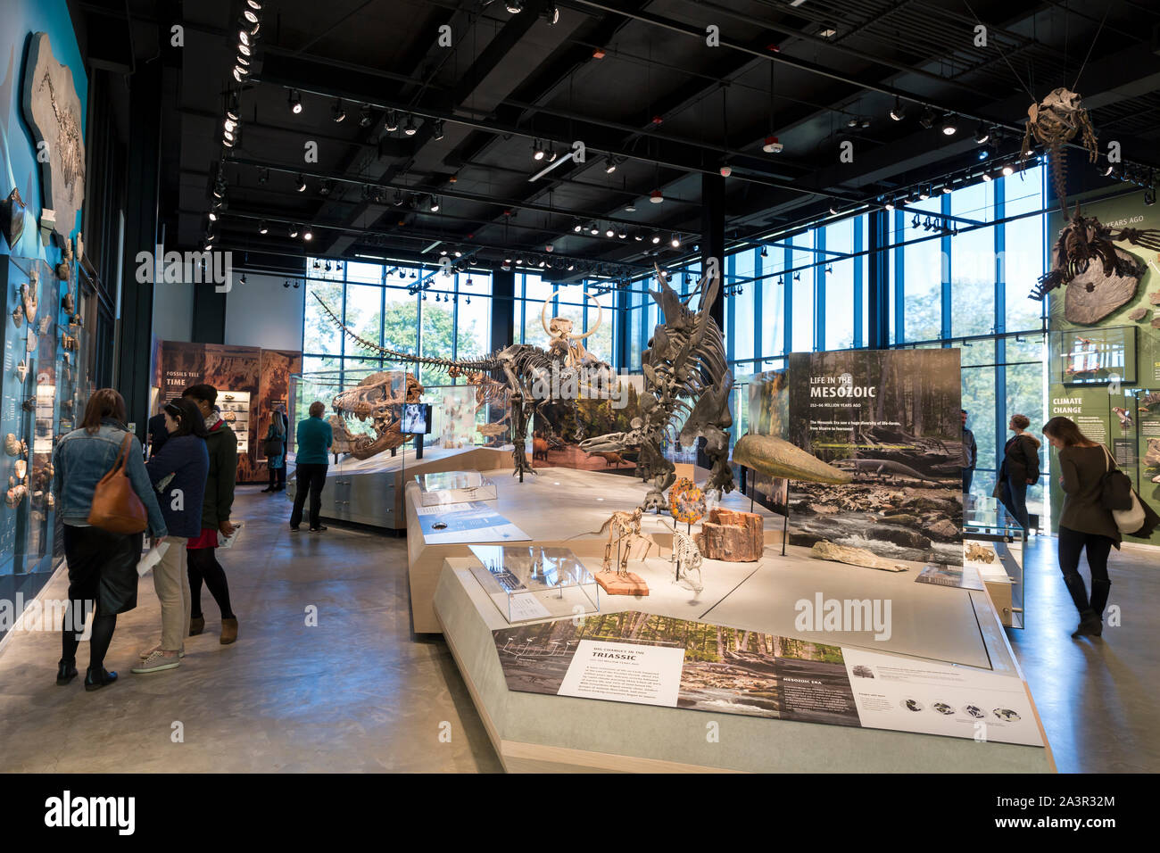 Visitors examine specimens in the 'Fossils Uncovered' gallery at The ...