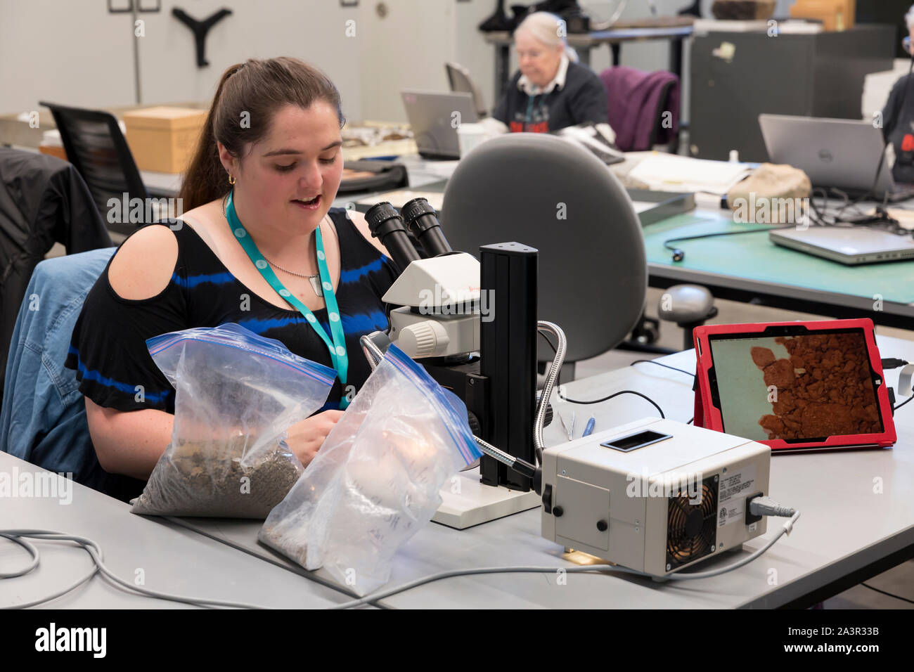 Museum fossil microscope hi-res stock photography and images - Alamy