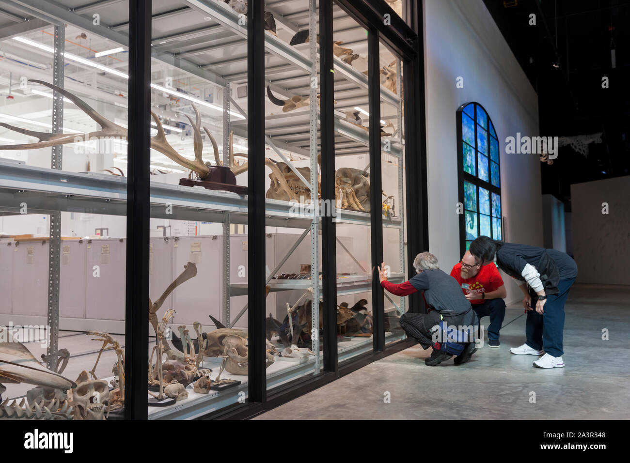 Visitors speak with an employee about specimens in a biology workroom ...
