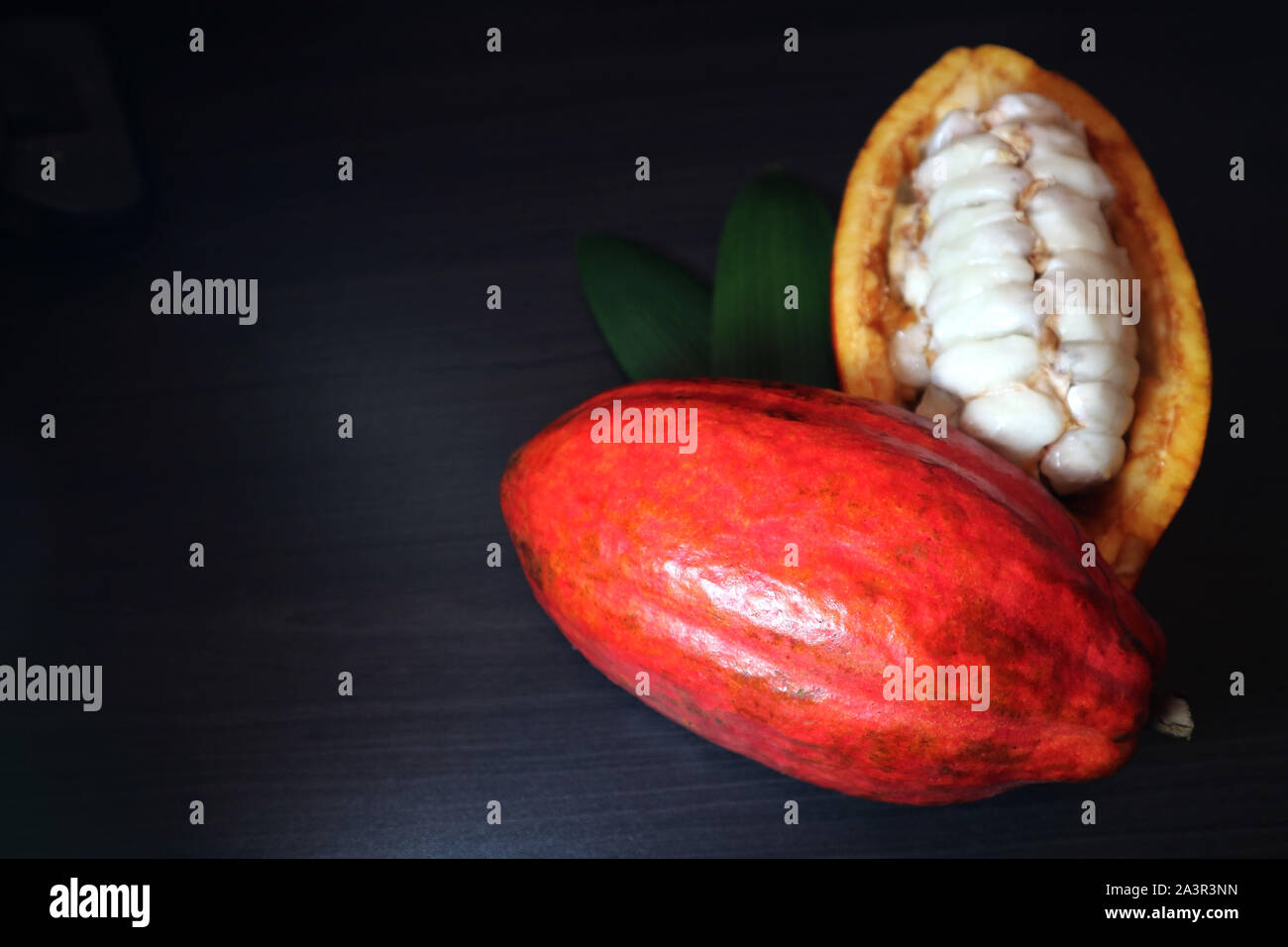 Open cocoa fruit hi-res stock photography and images - Alamy