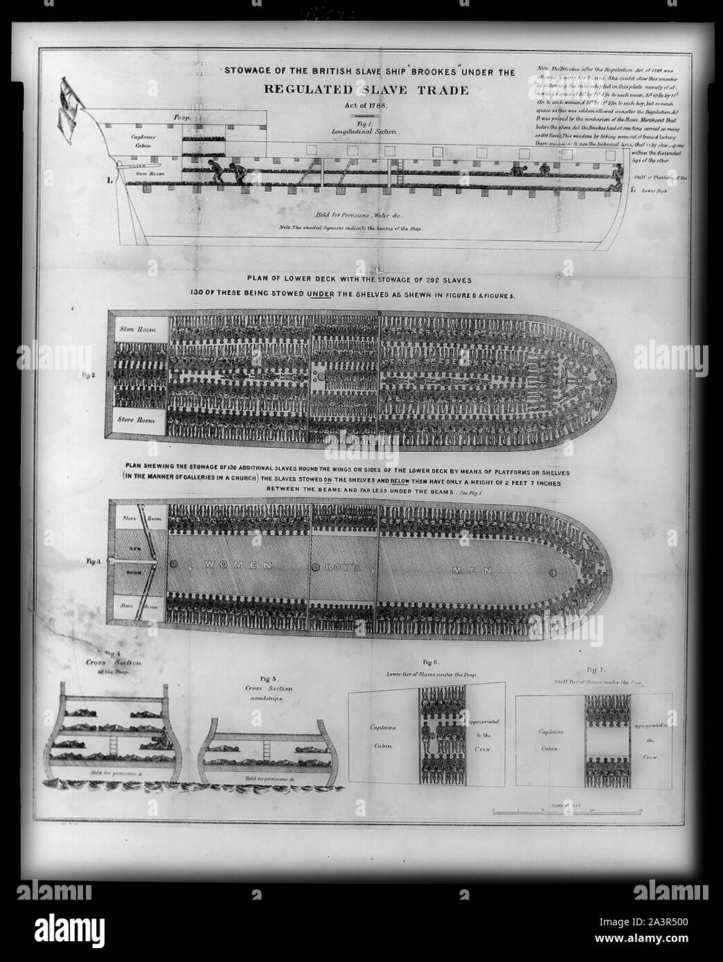 Stowage of the British slave ship Brookes under the regulated slave ...