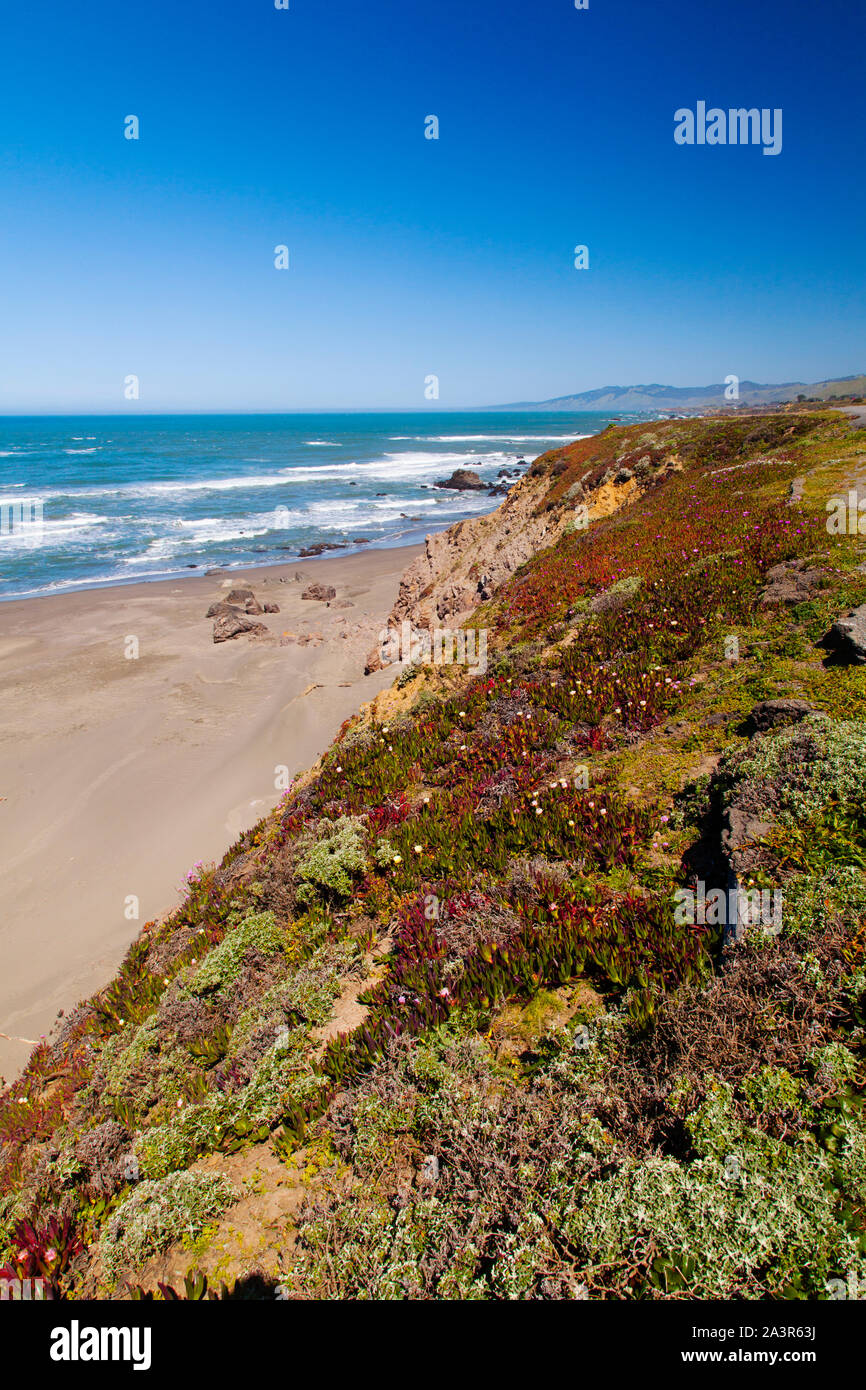 Sonoma Coast State Park Stock Photo - Alamy