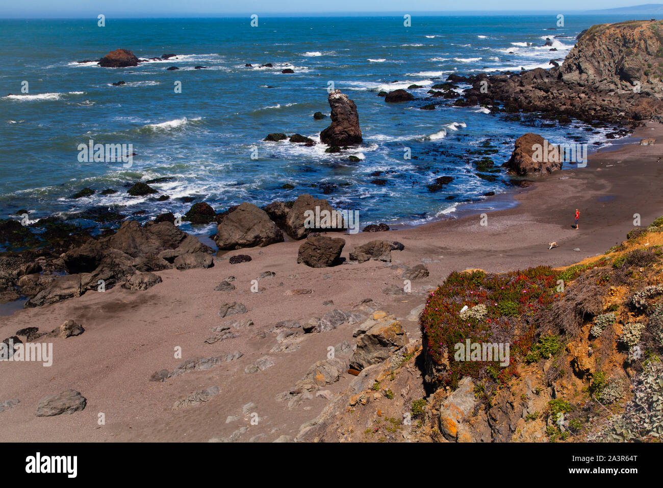 Sonoma Coast State Park Stock Photo - Alamy