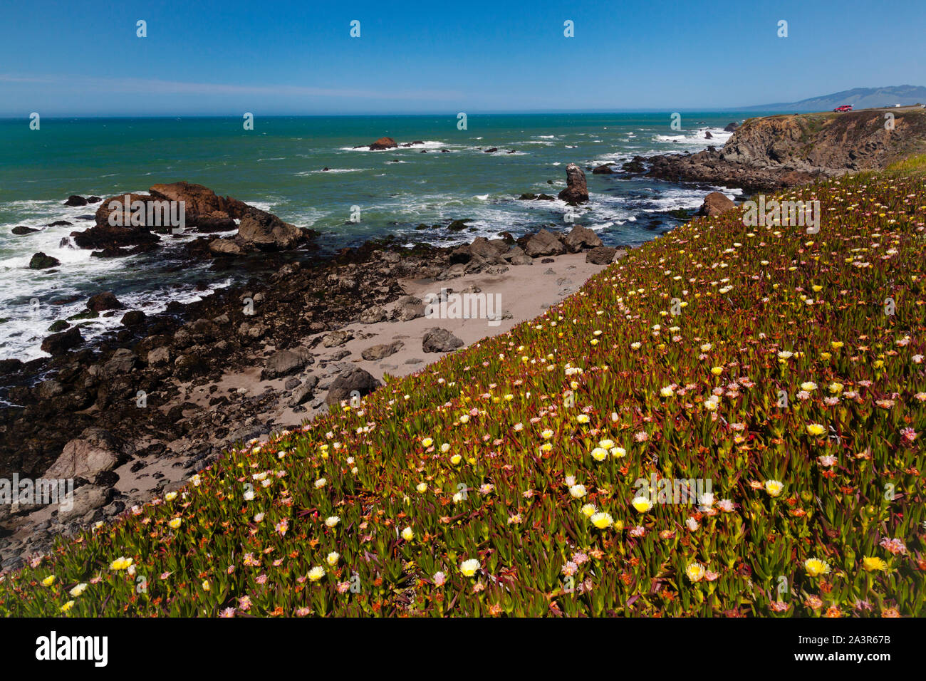 Sonoma Coast State Park Stock Photo - Alamy