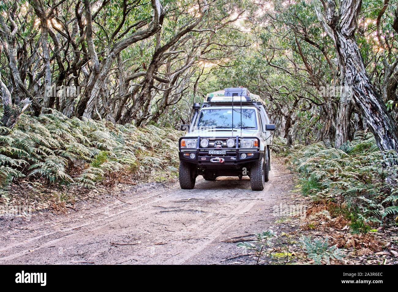 Driving through country road hi-res stock photography and images - Alamy