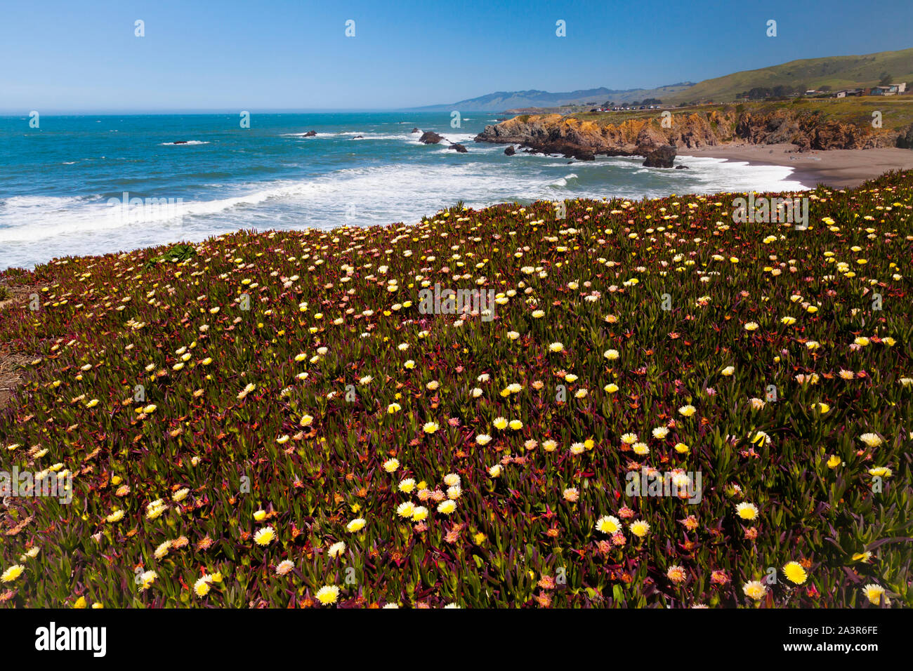 Coast state park hi-res stock photography and images - Alamy