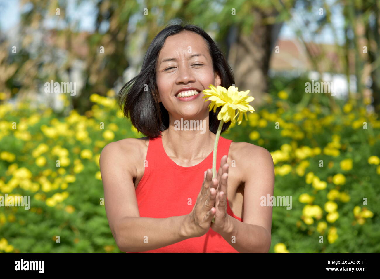 Happy asian woman green hi-res stock photography and images - Alamy