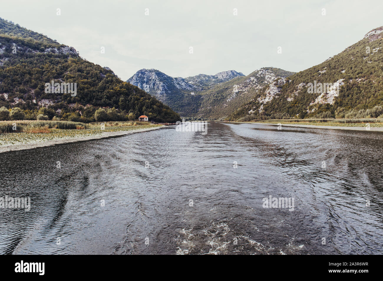 Nature views of Lake Skadar National Park in Montenegro. Water and ...