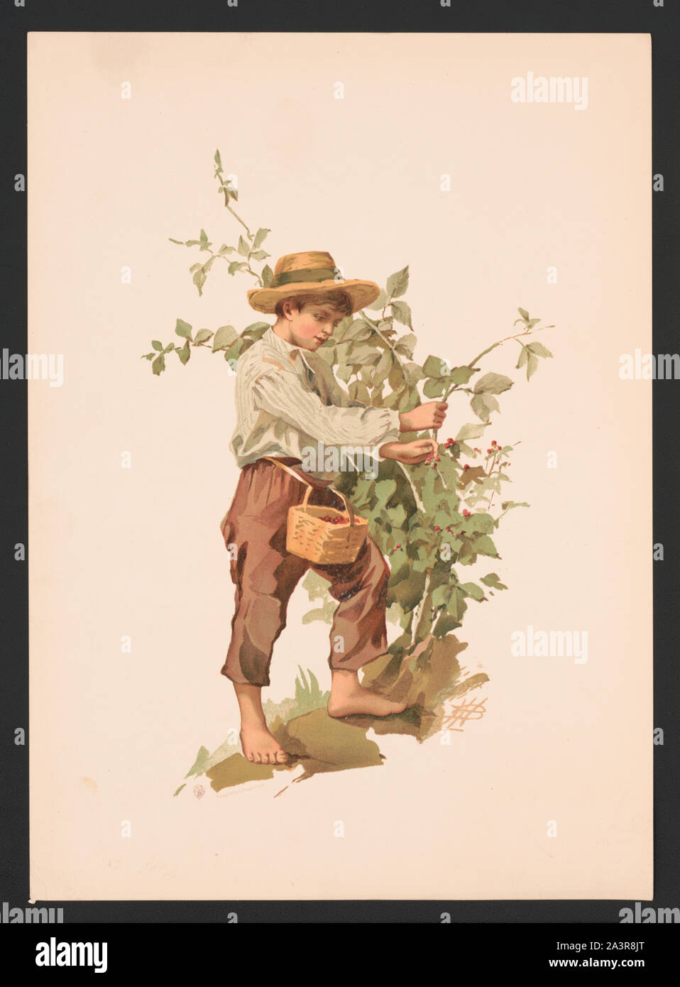 Study. Barefoot boy picking berries / LBH [monogram] after Miss L.B ...