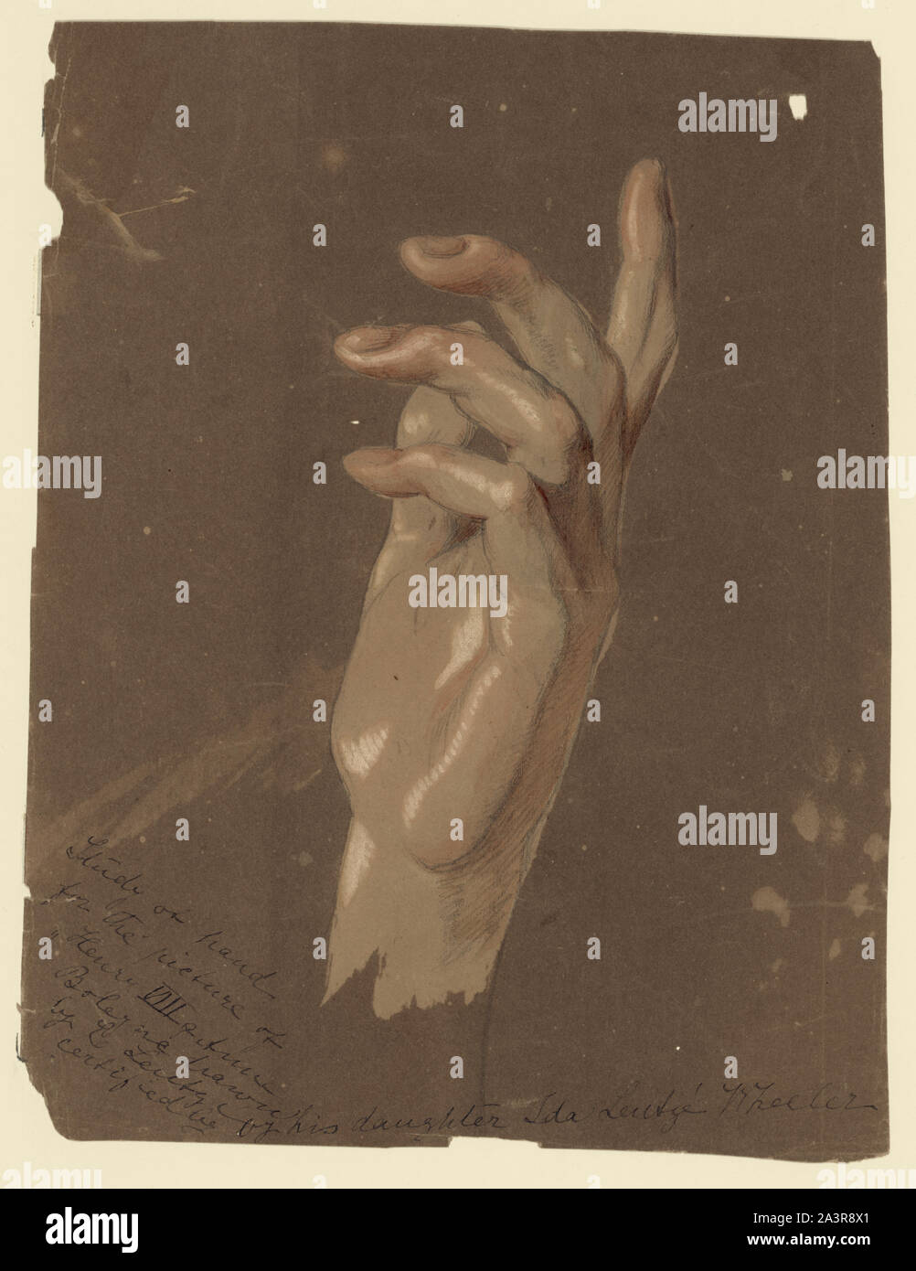 Study of hand Stock Photo - Alamy