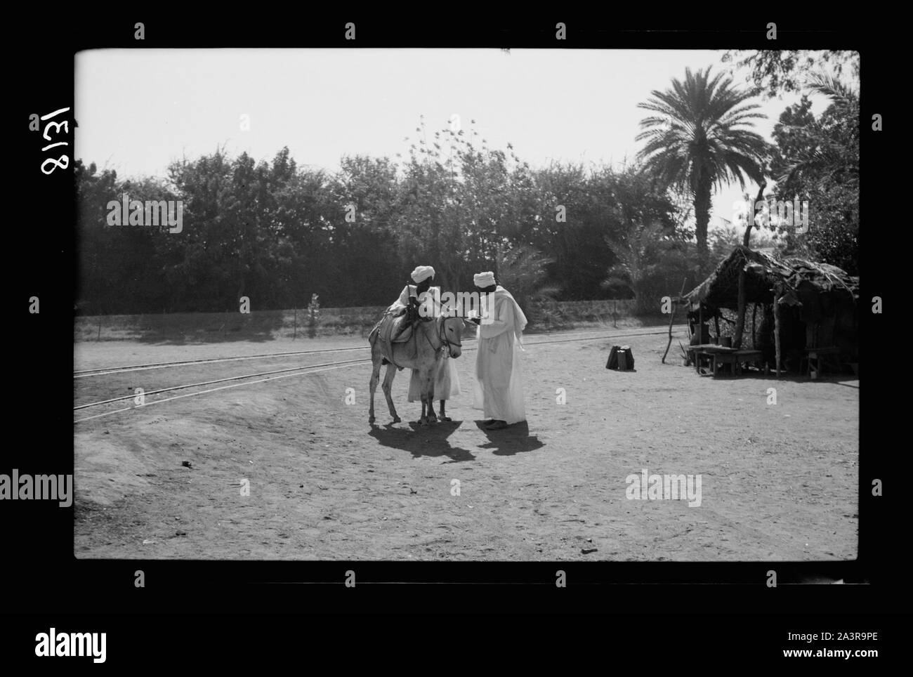 Sudan. Khartoum. Near Shambat. Two men and a donkey Stock Photo - Alamy