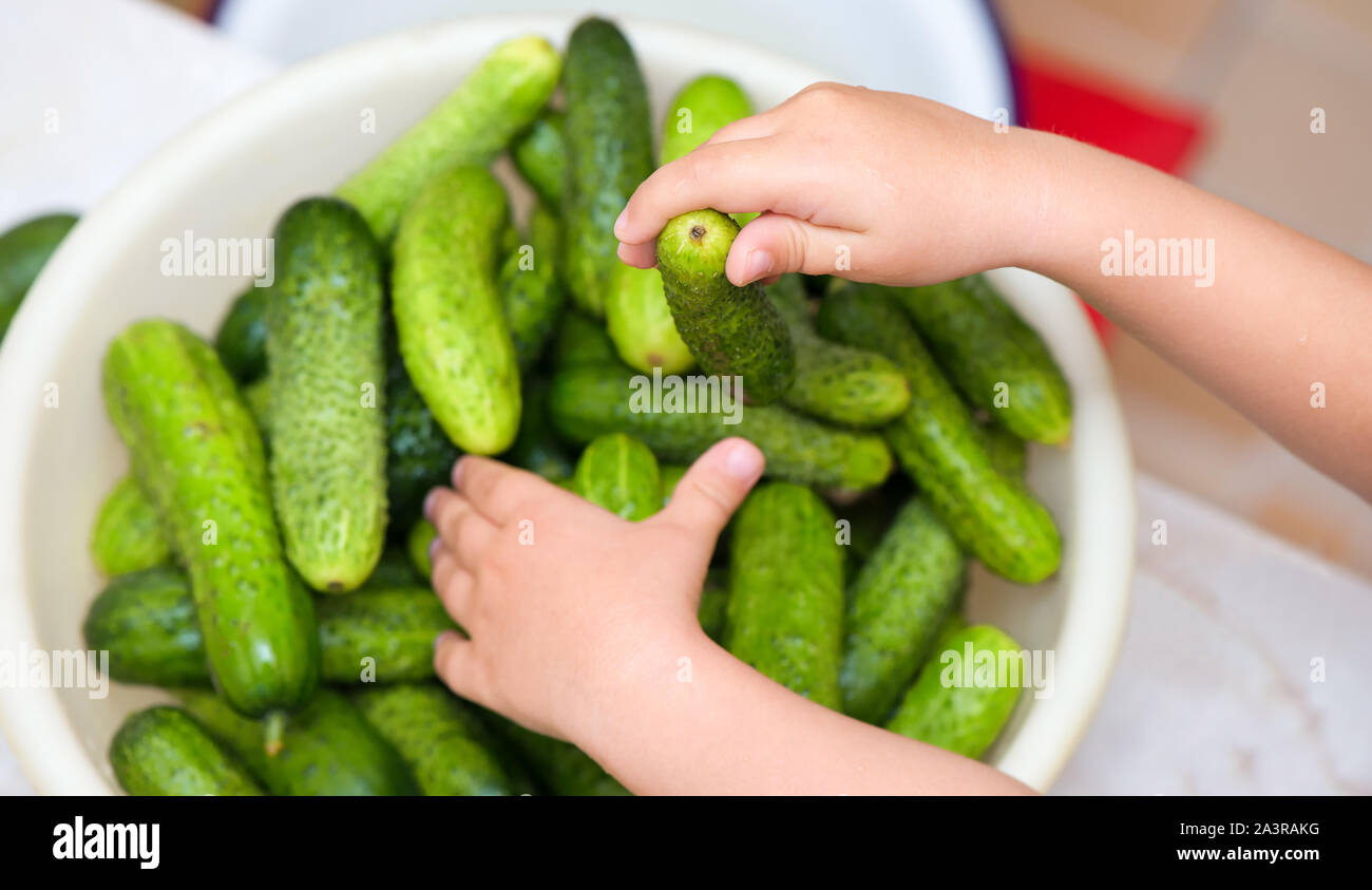 Child's hand holding a fresh cucumber Stock Photo - Alamy