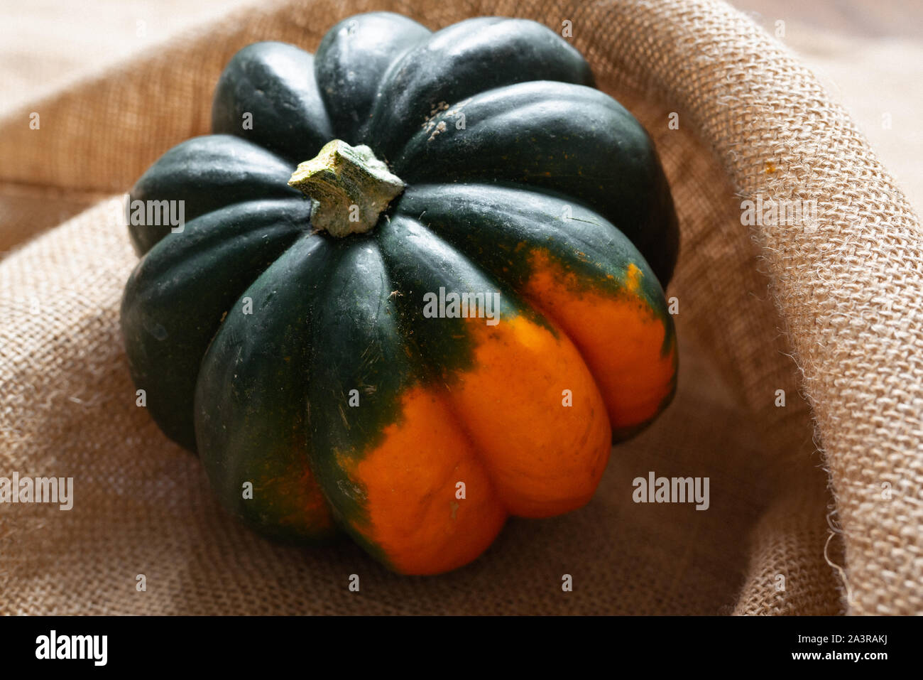 Squash. Fresh, organic Acorn Squash close up on rustic background Stock ...