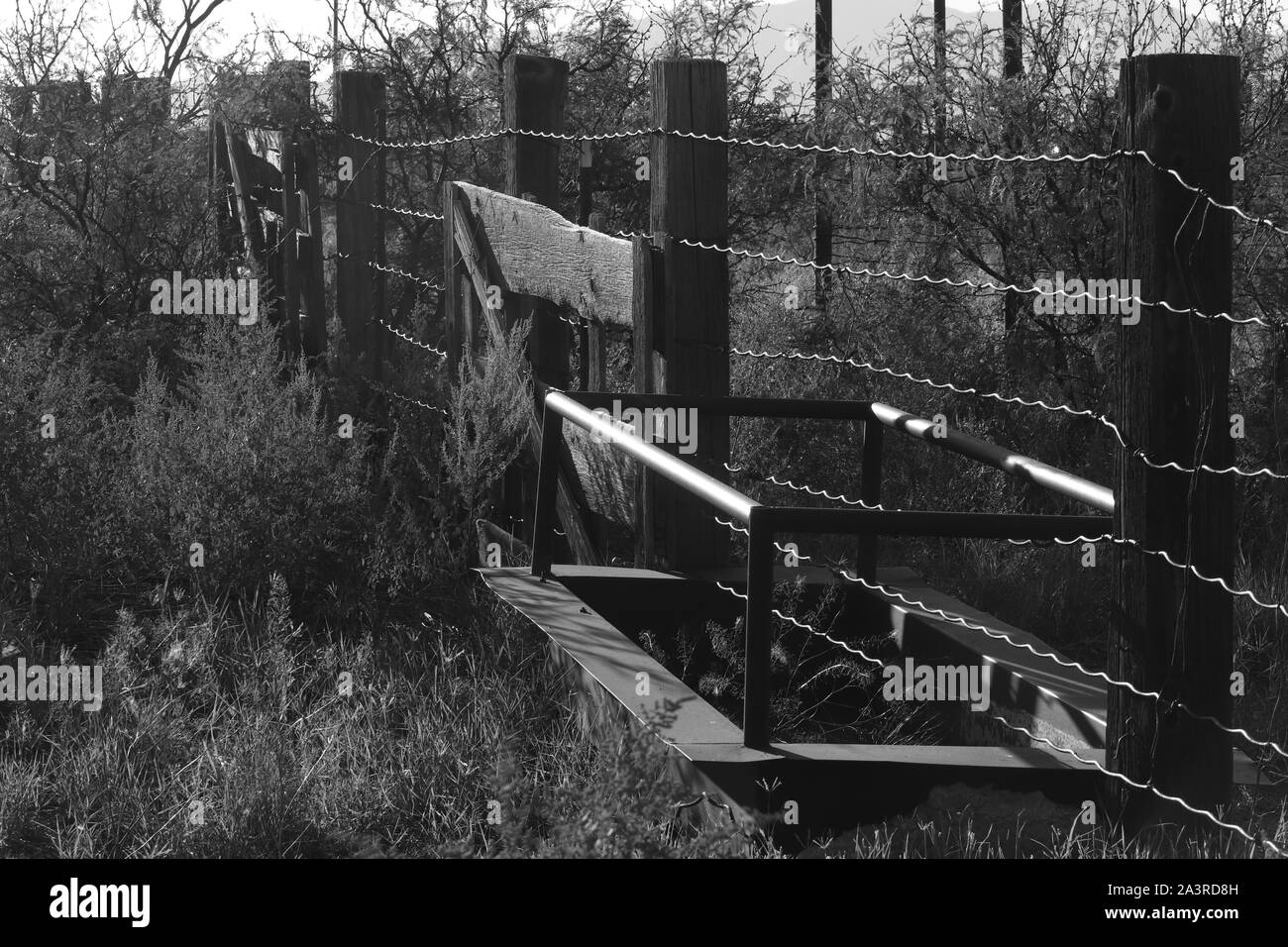 Rodeo fences hi-res stock photography and images - Alamy